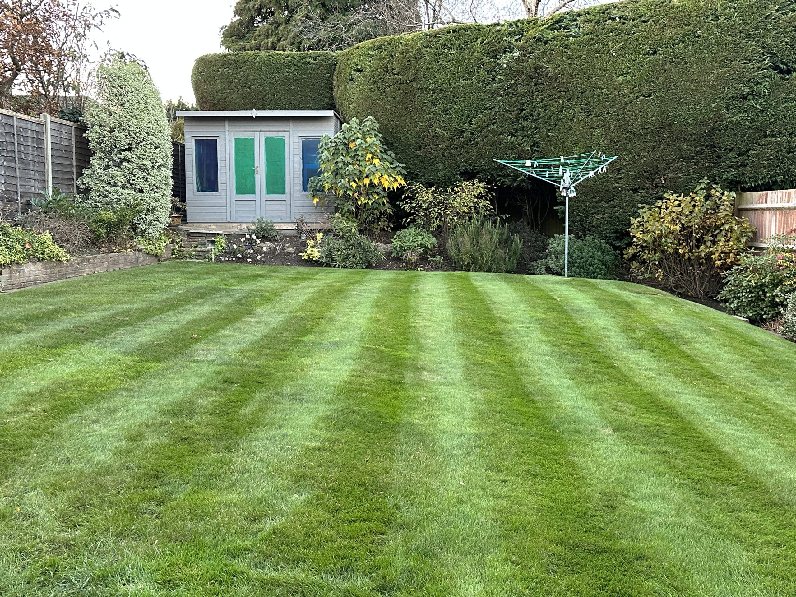 Get Your Hedges Perfectly Trimmed with a Hedge Cutting Service - Kent ...